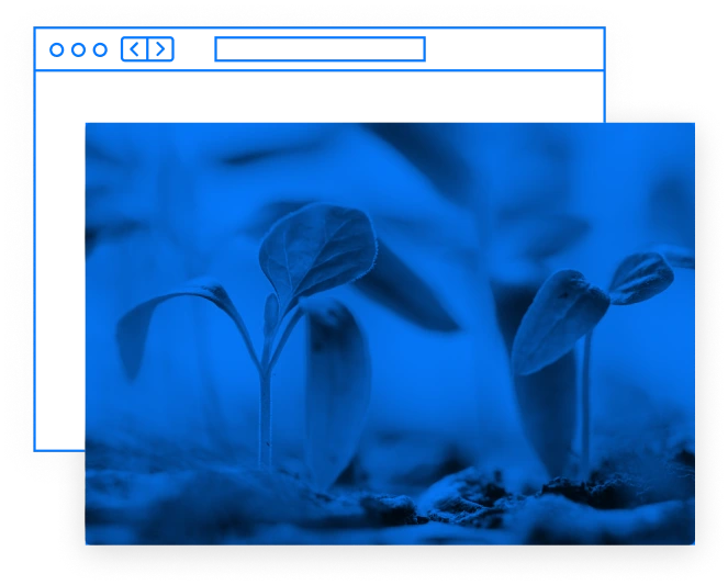 Industries | Imaginary Cloud